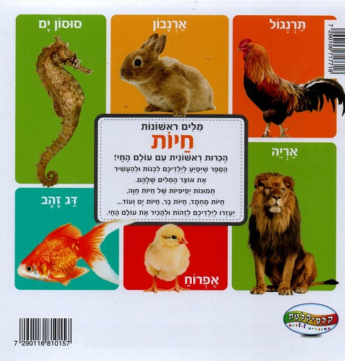 First words in Hebrew - Animals (Children's book in Hebrew) - Pashoshim.com
