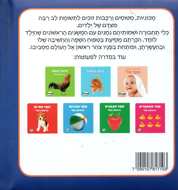 My First Transportation Vehicles - Children's book in Hebrew ...
