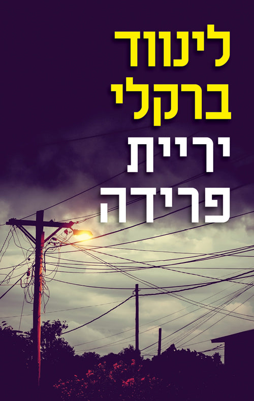 Book shop - Israeli and Jewish books in Hebrew - Pashoshim.com