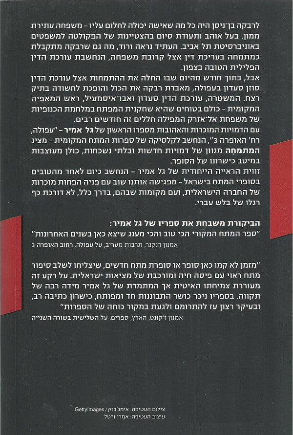 The Intern - Gal Amir - Hebrew book on Sale - Pashoshim.com