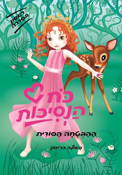 The Rescue Princesses - The Secret Promise (Youth book in Hebrew) - Buy ...